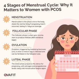 4 Stages of Menstrual Cycle: Why It Matters to PCOS Women